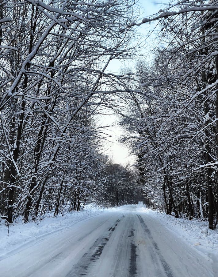 Cold stock image. Image of winter, cold, snow, nature - 222648277