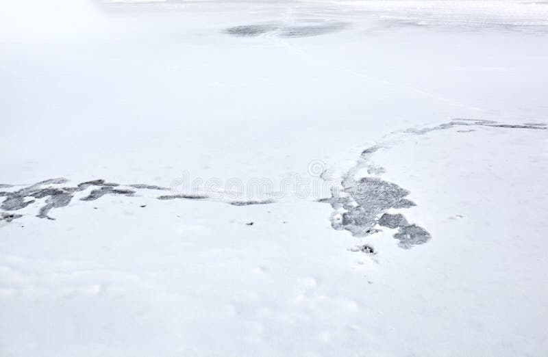 Winter Snow in Park. Snowy White Texture Stock Photo - Image of frost ...