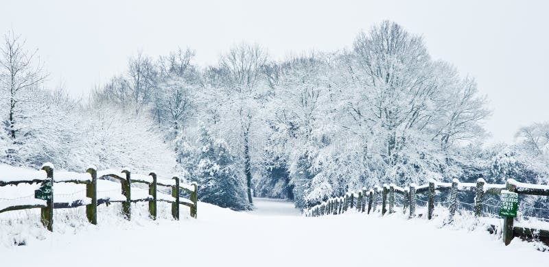 Winter Snow Path through Forest Stock Photo - Image of snow, rural ...