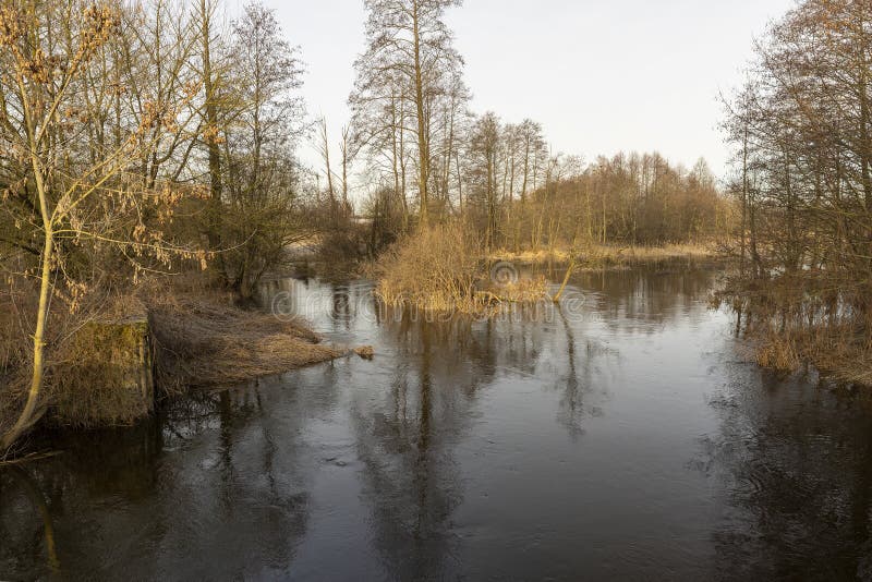 Winter without Snow and a River in a Forest with Bare Trees Stock Photo ...
