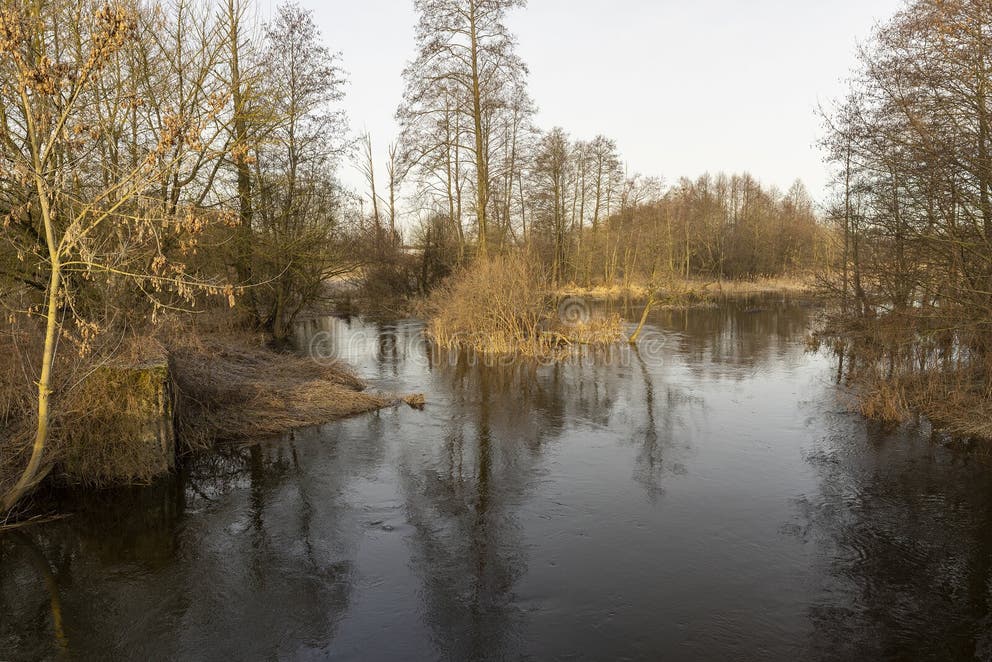 Winter without Snow and a River in a Forest with Bare Trees Stock Photo ...