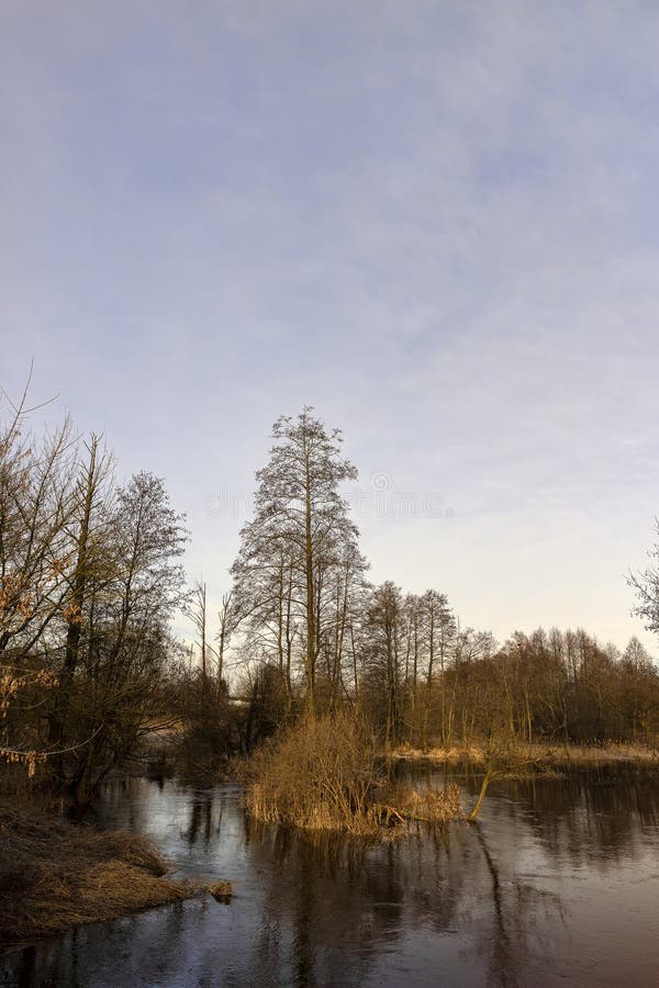Winter without Snow and a River in a Forest with Bare Trees Stock Image ...