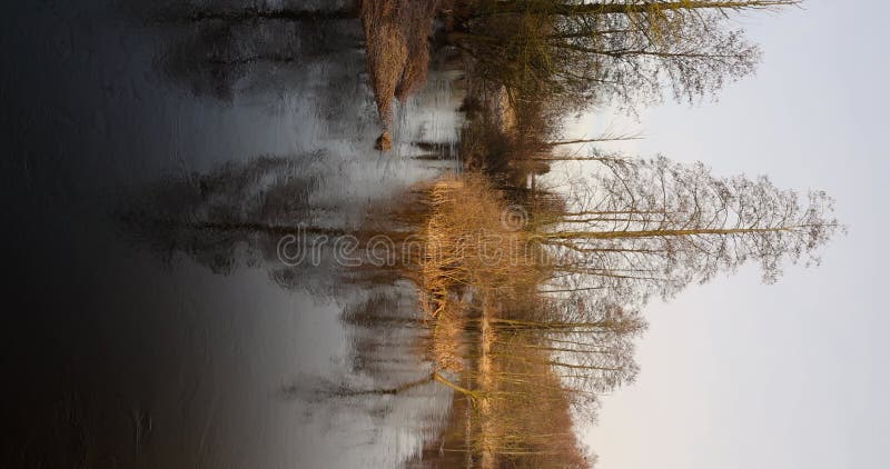 A Winter without Snow and a River in a Forest with Bare Trees Stock ...