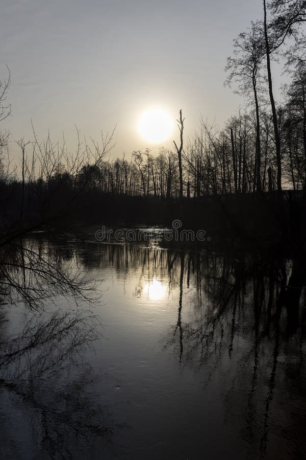 Winter without Snow and a River in a Forest with Bare Trees Stock Image ...