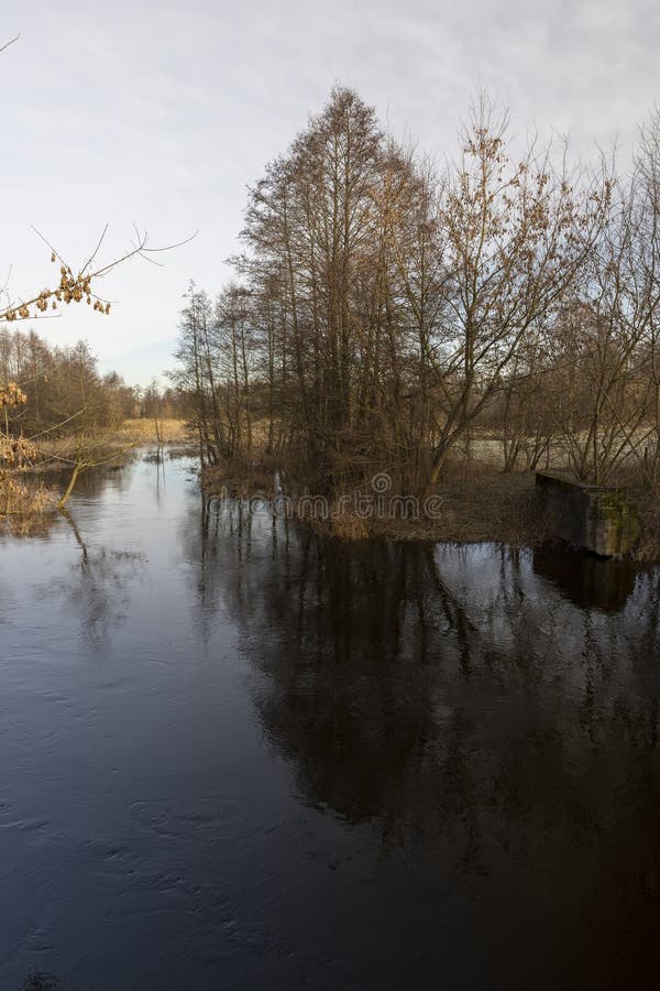 Winter without Snow and a River in a Forest with Bare Trees Stock Image ...