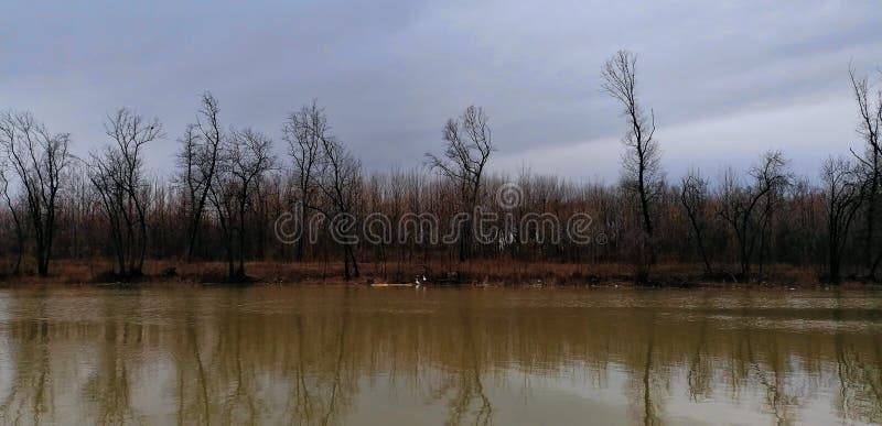 Winter without Snow by the River Stock Image - Image of pancevo, nature ...