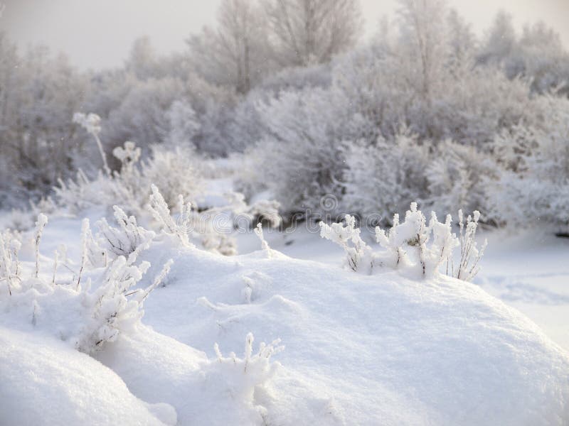 Winter Landscape with Snow on the Ground and Hillocks Stock Image ...