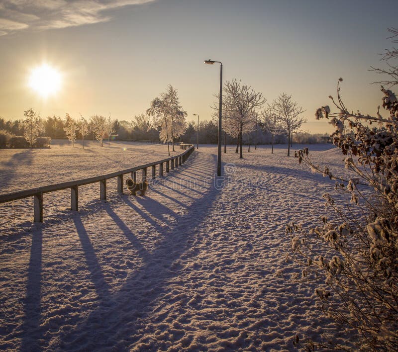 Winter Snow Scene Park Season Stock Image - Image of snow, park: 33596387