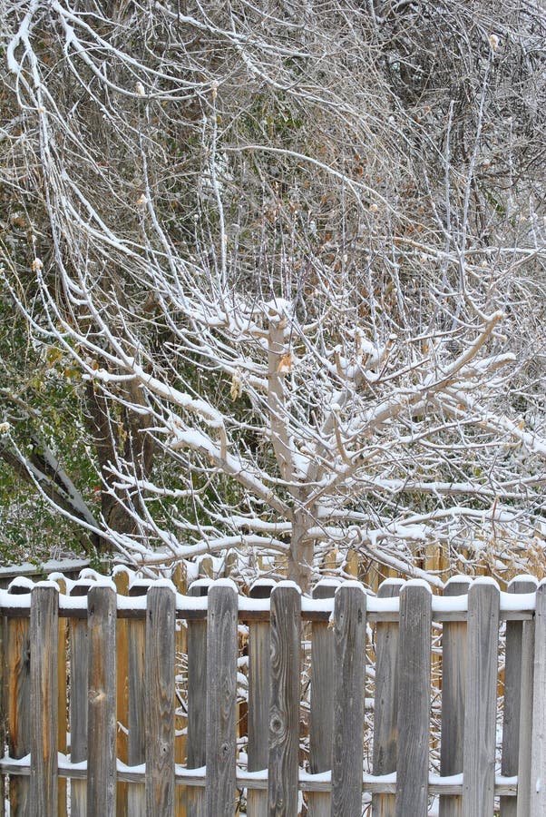 Winter Snow Season Outside. Stock Image - Image of cold, abstract ...