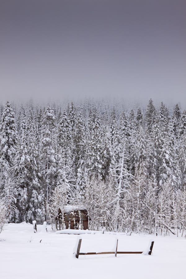 Rustic Shack Interior stock image. Image of house, mining - 25019791