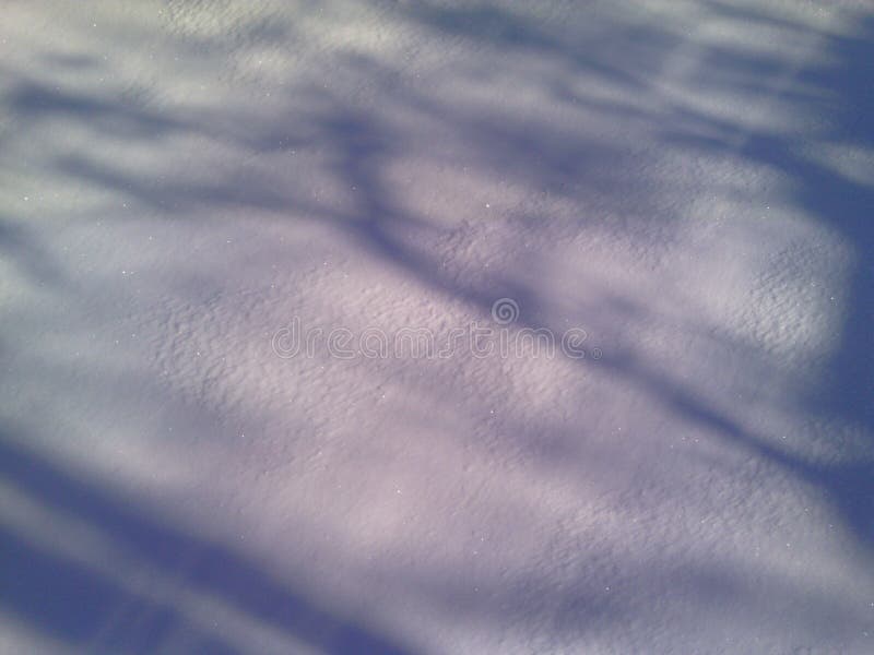 Winter. Snow. the Shadow of the Trees Stock Image - Image of blue, snow ...