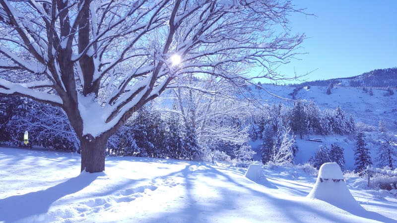 Winter Snow stock photo. Image of foot, snow, reached - 67534000