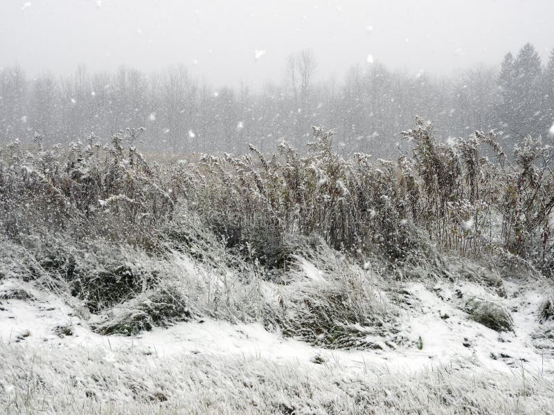 Lake Effect Snow Squall Suddenly Appears in FingerLakes Countryside ...
