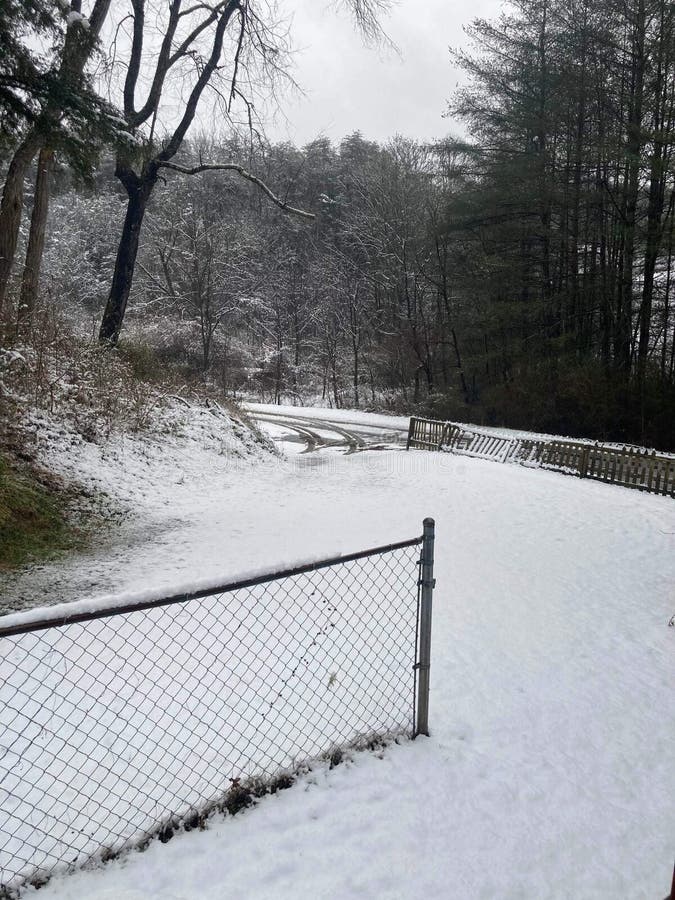 Winter Snow Storm Beautiful Stock Photo - Image of snow, storm: 265320210