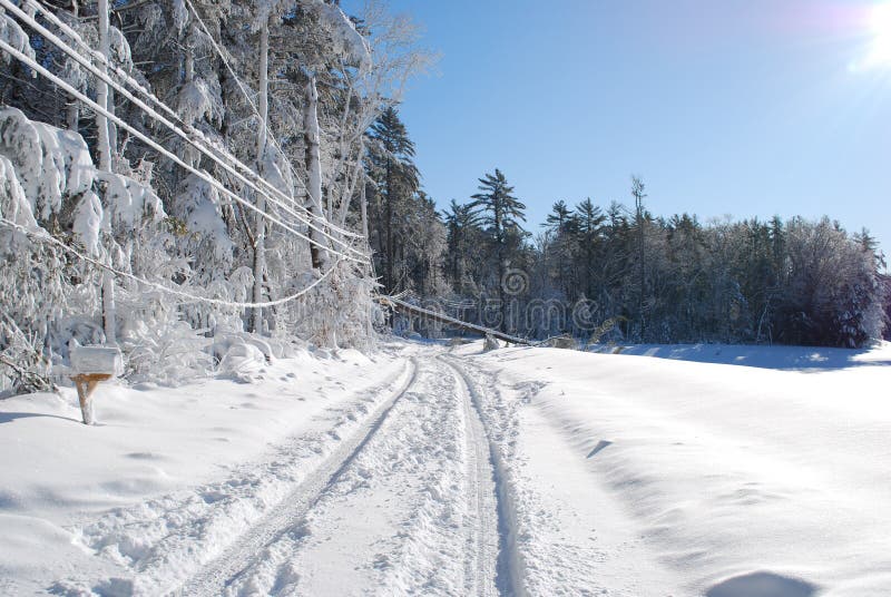 Winter Snow Storm Causing Large Amounts of Damage Stock Photo - Image ...