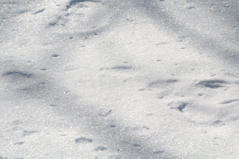 Winter Snow. Snow Texture Top View of the Snow. Texture for Design ...