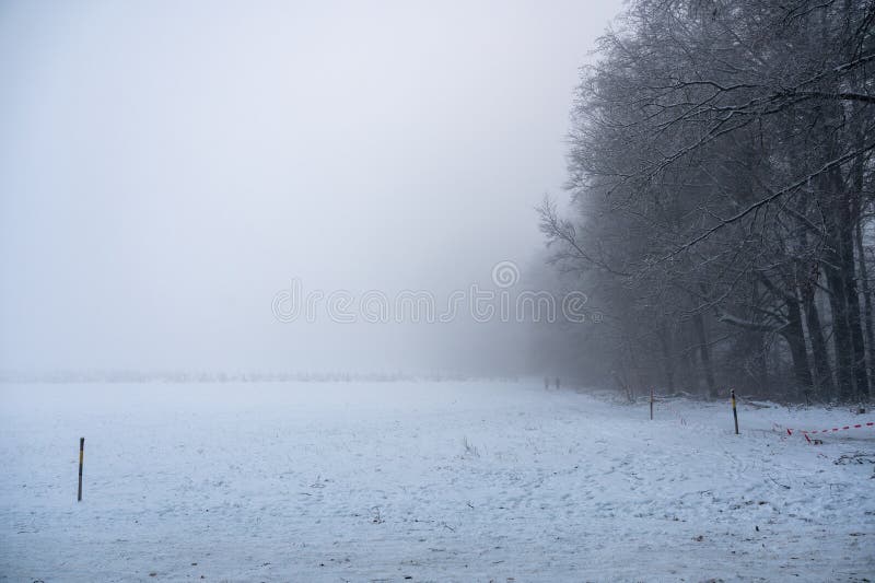 Winter with Snow, Trees and Fog Stock Image - Image of scenery, back ...