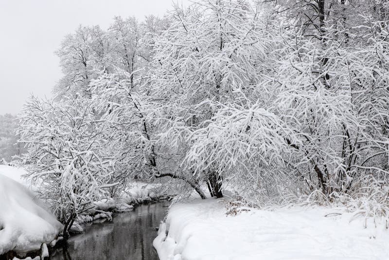 Winter Snow Trees and River Stock Image - Image of enjoy, activity ...