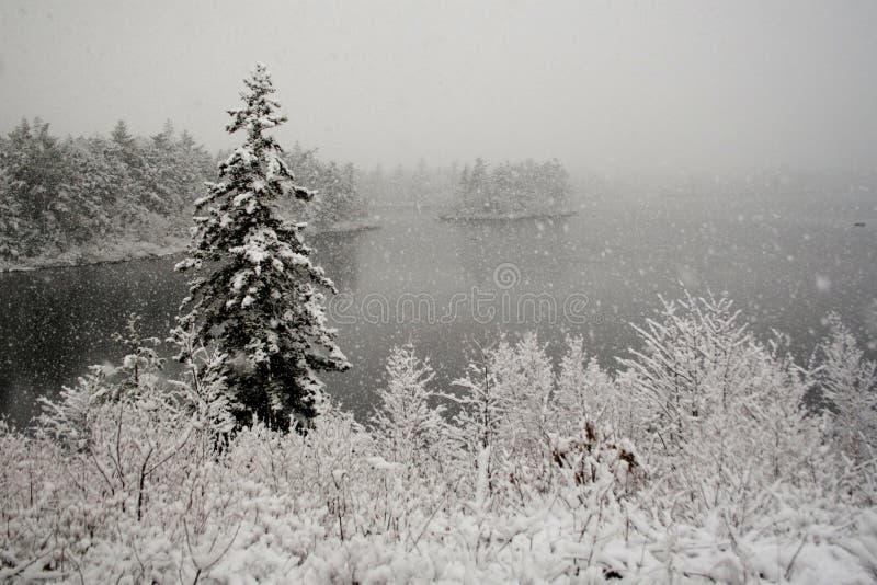 Winter Snowfall Picture. Image: 4973146