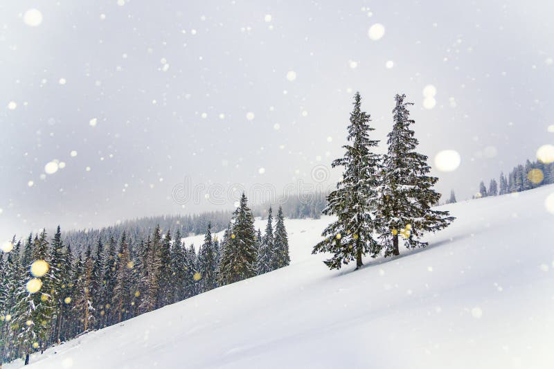 Winter Snowfall High in the Mountains. Stock Photo - Image of frozen ...