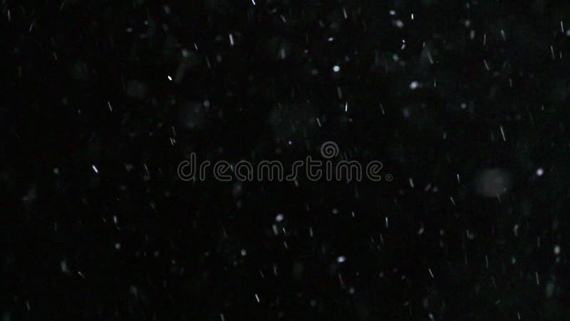 Winter Snowfall Slow Motion Stock Footage - Video of slowmotion, fresh ...