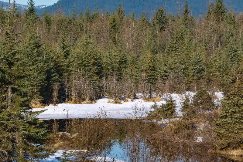 Winter Snowscape in Alaska stock photo. Image of boat - 96425230