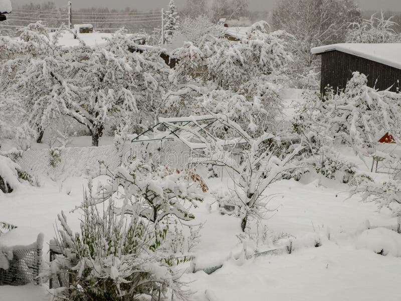 Snowstorm Blizzard Snow Storm Scenery, Courtyard View Stock Image ...