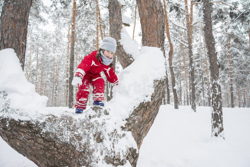 In Winter, in a Snowy Forest, a Girl Stands on a Pine Tree Stock Photo ...