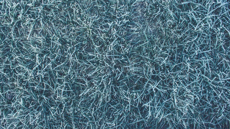 Winter Snowy Grass with Frost Stock Photo - Image of landscape, meadow ...