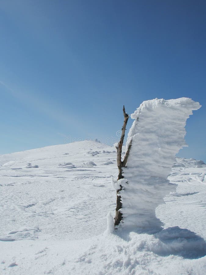 Quiet Winter Snowy Landscape Stock Photo - Image of coldish, drift ...