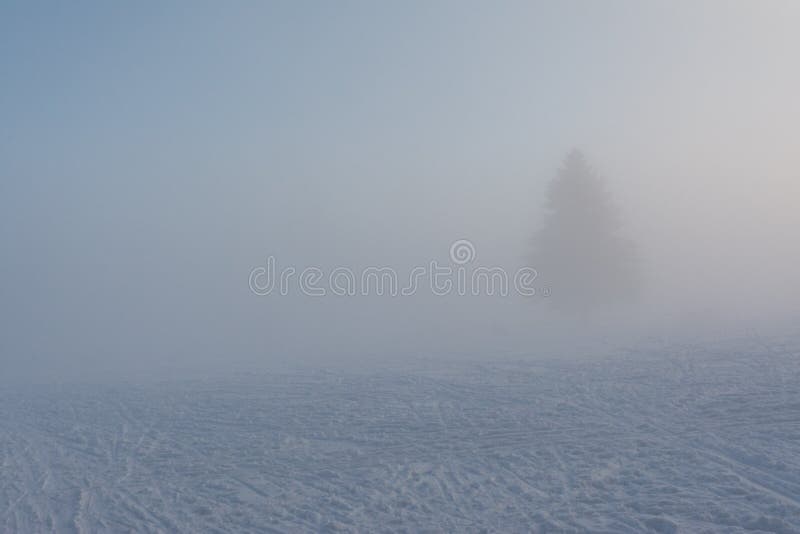 Winter Snowy Landscape in Dense Fog Stock Image - Image of forest, dark ...