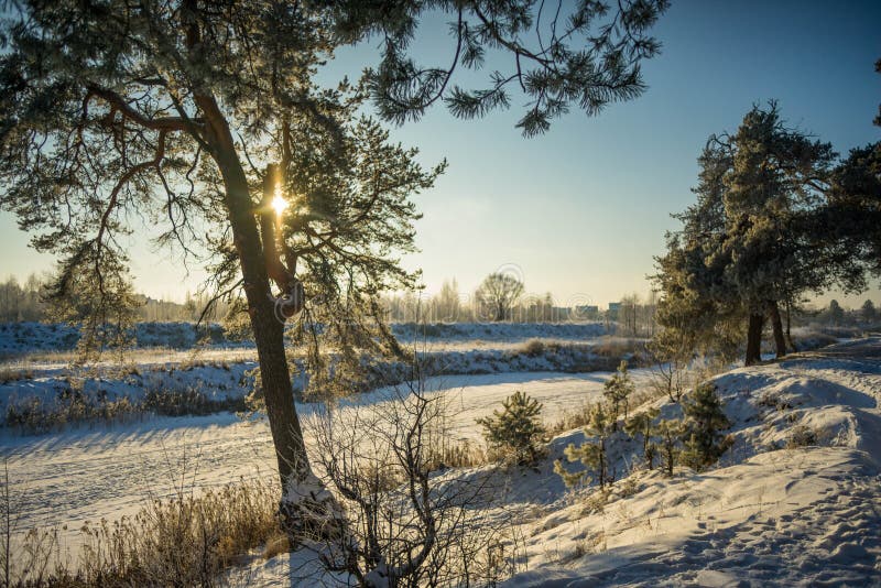 Winter Snowy Landscape in the Russian Cold Stock Image - Image of snow ...