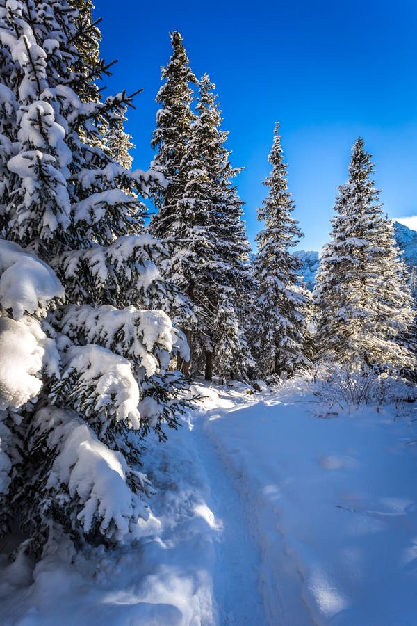 Winter Snowy Mountain Trail Stock Photo - Image of dawn, mountain: 48876956