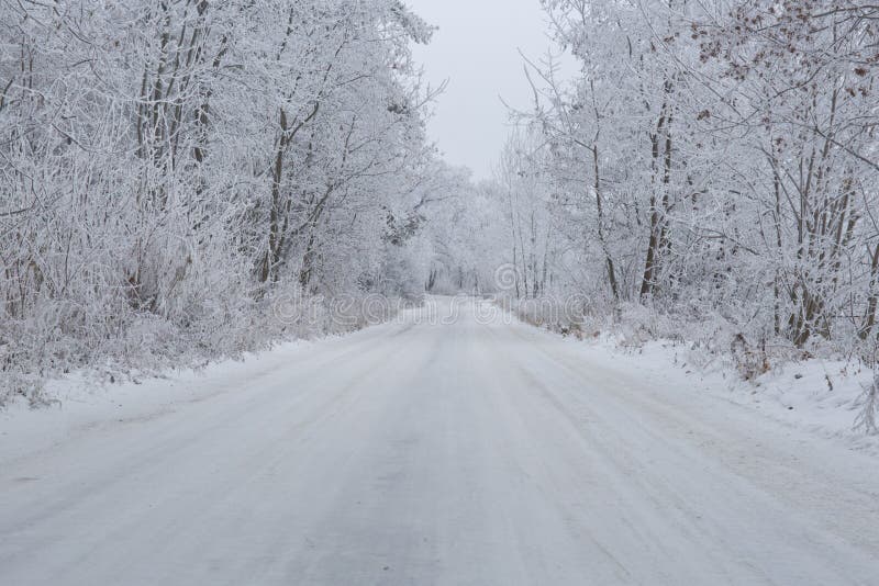 Winter snowy road stock image. Image of season, road - 48709333