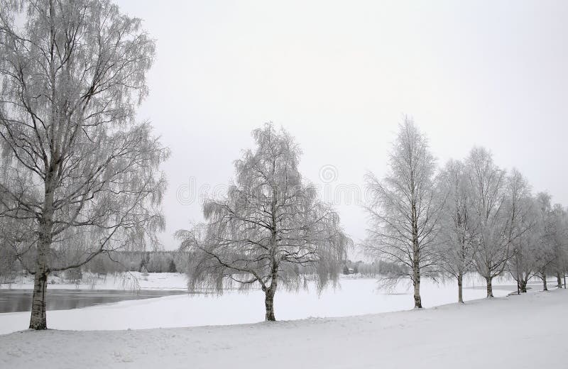 Winter solitude stock image. Image of december, covering - 6695557