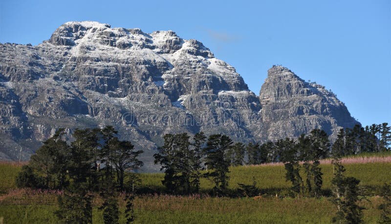 Winter in South Africa stock photo. Image of green, jonkershoek - 232812126