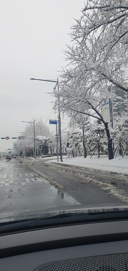 Winter in South Korea so Cold Stock Image - Image of winter, south ...
