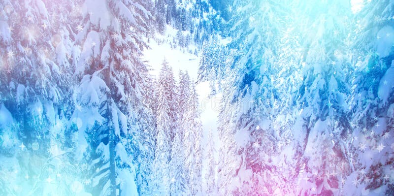 Winter Sparkle Background with Pine Trees and Snow Stock Photo - Image ...