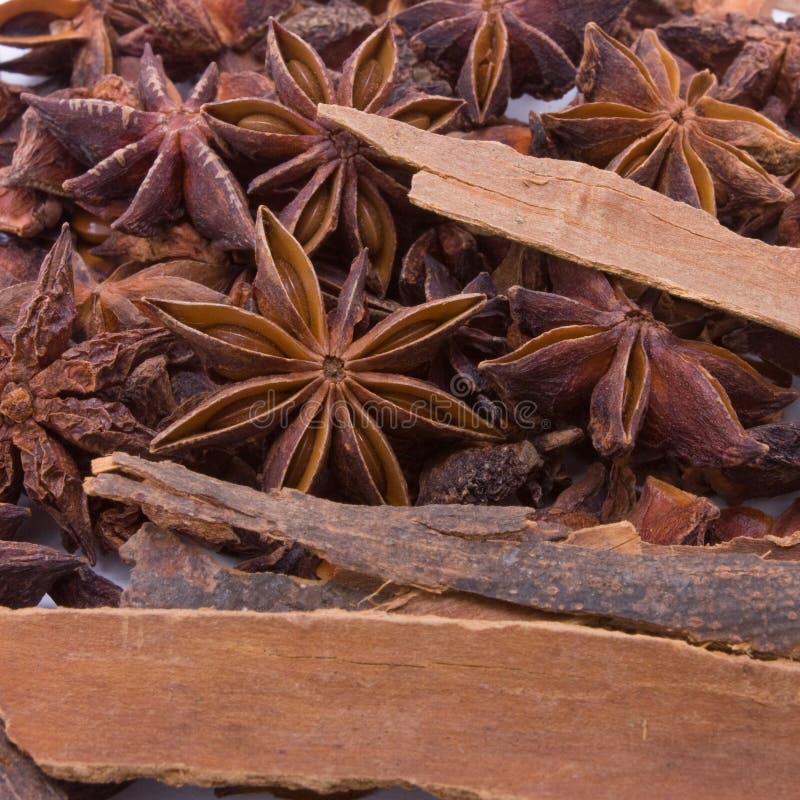 Winter Spice stock photo. Image of gourmet, anise, cinnamon - 12067422