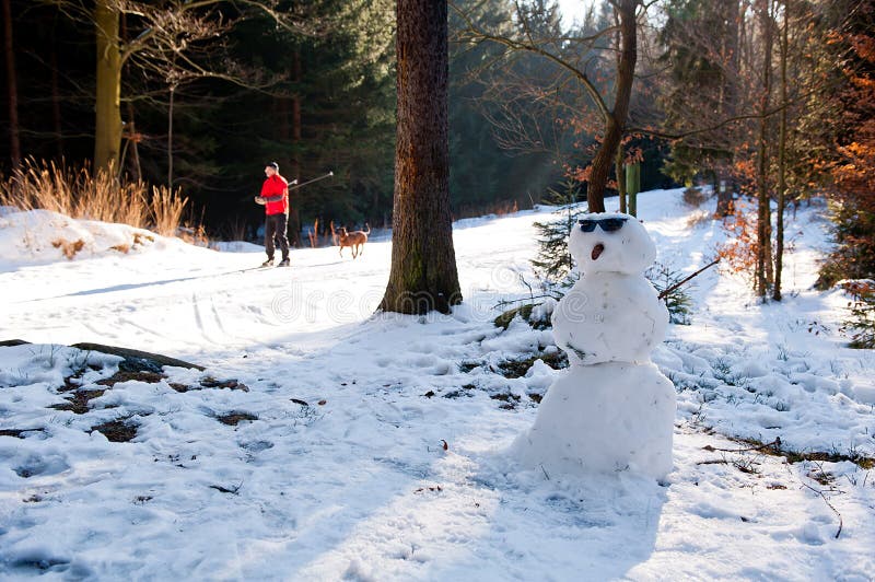 Winter sports stock image. Image of skier, outdor, nature - 51295421