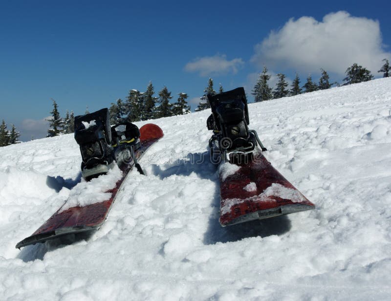 Winter Sports - Skiing stock photo. Image of slope, winter - 12231238
