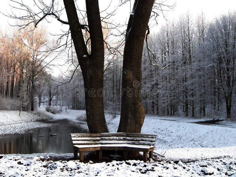 The winter in spring stock photo. Image of spring, beauty - 10257978