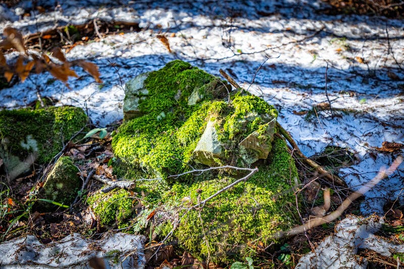 Between winter and spring stock photo. Image of river - 349740672