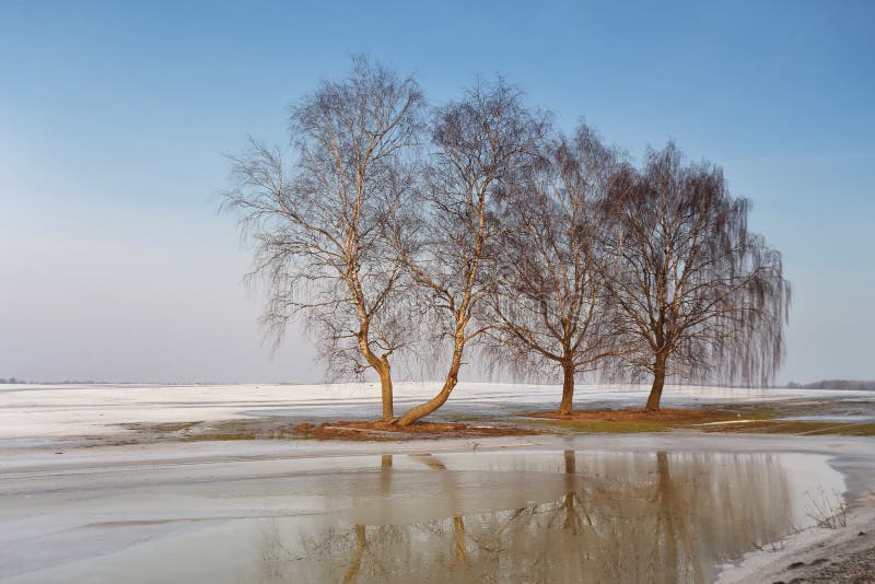 Between Winter and spring stock photo. Image of meltdown - 51149850