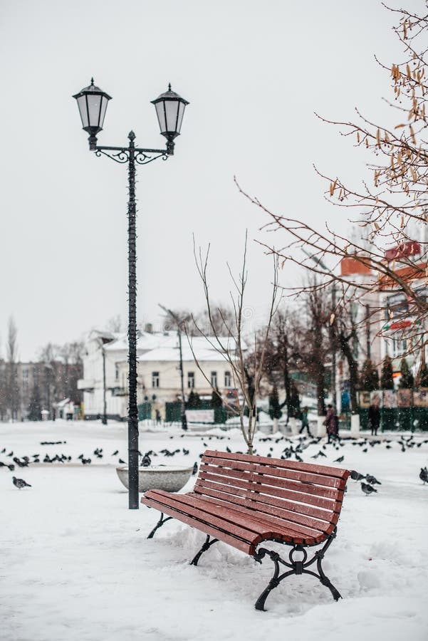 Winter Square of an Ordinary City Stock Image - Image of sitting, sits ...