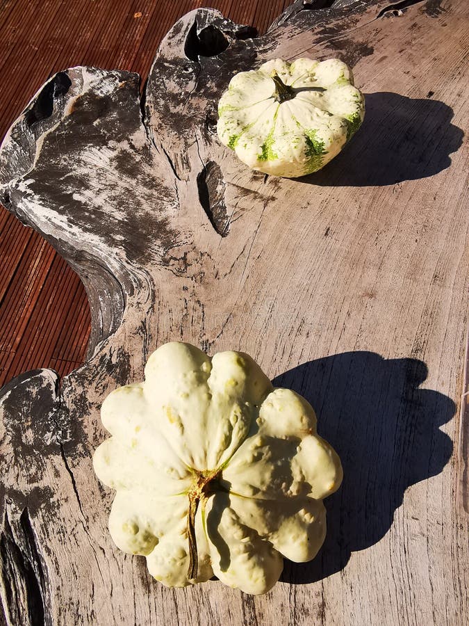 Winter Squash on Old Piece of Wooden Stock Photo - Image of agriculture ...