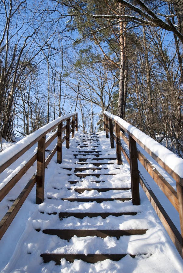 Winter Stairs in the Forest Stock Image - Image of tree, europe: 133936347