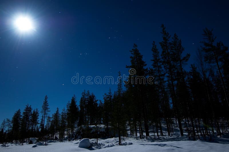 Winter starry night stock photo. Image of moon, frost - 35198450