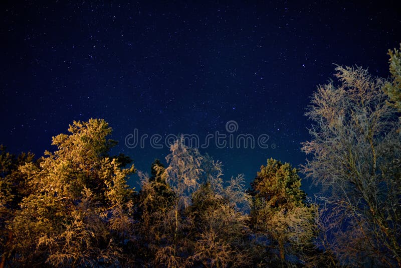 Winter starry night stock photo. Image of moon, frost - 35198450
