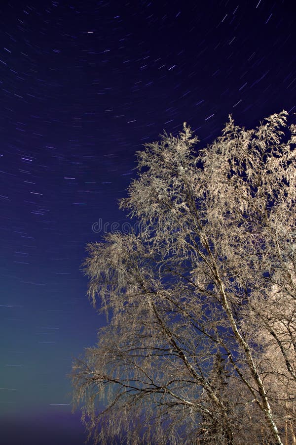 Winter starry nightscape stock image. Image of nature - 39636617